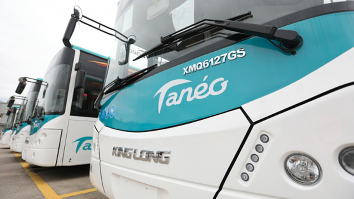 Tanéo, un retour en force mitigé