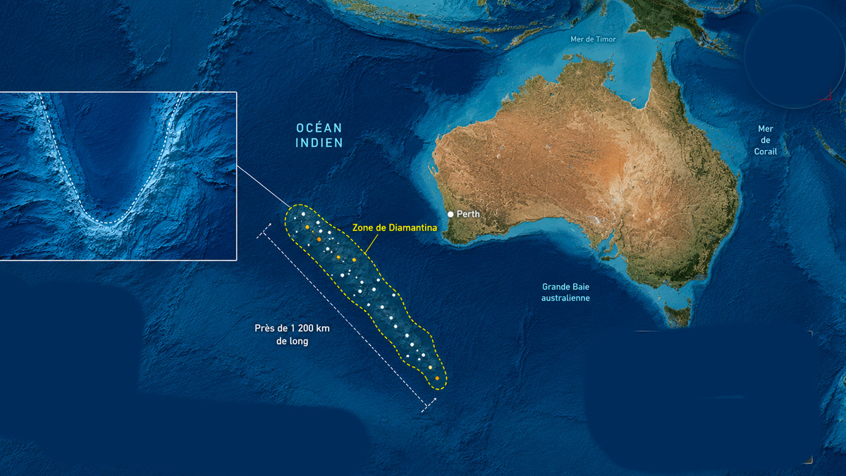 Le plus grand cimetière de baleines du monde découvert au fond de l ...